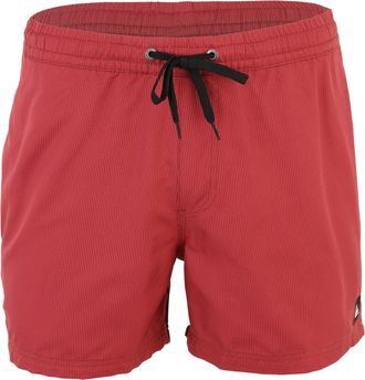 Quiksilver Badeshorts DELUXE 1