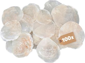 Matches 21 Perlmuttscheiben Ø 5 - 9 cm (ca. 100 Stk.) zum Basteln - Große maritime Muschelplatten für DIY Schmuck, Mobiles & Dekoration - Natürliche Perlmutt-Dek