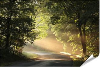 Islandburner XXL Bild Poster Landstra&szlig;e Fr&uuml;hling Wald Sonnenaufgang Land Laubbaum Neblig Sonnigen Morgen Aufg Premium Bilder Fotodruck HROX-PGR