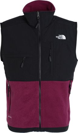 The North Face M DENALI VEST