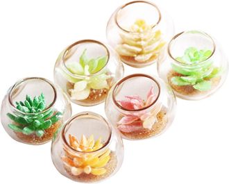 Cabilock 6 St&uuml;ck Teiliges Miniatur-sukkulenten- Realistische K&uuml;nstliche Pflanzen Dekorative Mini-glasgef&auml;&szlig;e Pflegeleichte Mini-pflanzenmodelle f&uuml;r Puppenhaus W