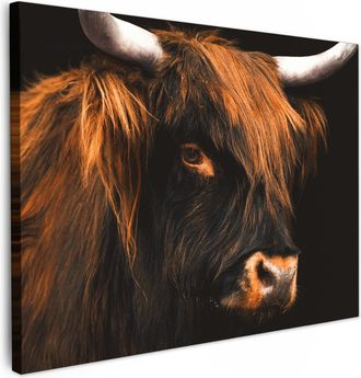 MuchoWow © Wandbilder 80x60 cm Schlafzimmer Home Deko Wohnung Bild Wohnzimmer Fotoleinwand Wand Bilder Leinwand Wall Decor Schottisches Hochlandrind - Highland