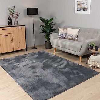 Paco Home Tapis Salon Chambre Adulte Poils Ras Lavable en Machine Uni Moelleux, Dimension:120x170 cm, Couleur:Anthracite