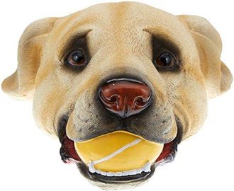 No Name Hundekopf beige Labrador, schwimmt auf dem Teich oder Pool, Sieht aus als ob EIN Hund im Wasser schwimmt