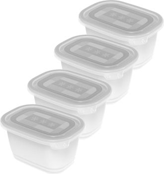 Rotho Freeze 4er-Set Gefrierdosen 0.75l mit Deckel, Kunststoff (PP) BPA-frei, transparent, 4 x 0.75l (15.5 x 11.0 x 13.4 cm)