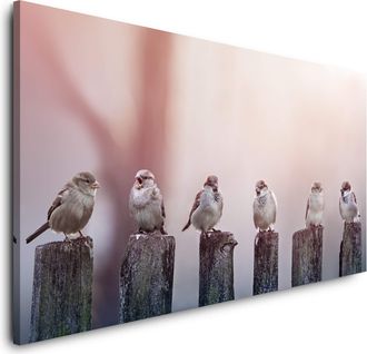Paul Sinus Art Vögel auf Holzstämmen 120x 60cm Panorama Leinwand Bild XXL Format Wandbilder Wohnzimmer Wohnung Deko Kunstdrucke