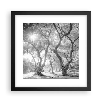 Arttor Wandposter Art Prints 30x30cm Poster Schwarzrahmen Wald Winter Bäume Küche Wanddeko Bild Wand Kunstdruck Deko Wandbilder Dekoration Wohnzimmer Schlafz