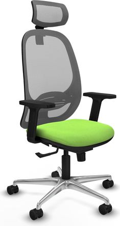 Piqueras y Crespo Drehstuhl f&uuml;r B&uuml;ro mit 2D-Armlehnen, h&ouml;henverstellbare Lendenwirbelst&uuml;tze und Kopfteil, h&ouml;henverstellbar und neigbar, Grau/Pistazie