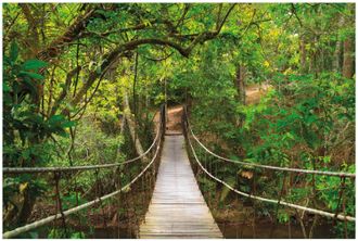 Wallario selbstklebendes Poster - Hängebrücke im Urwald grüner Dschungel, Aufkleber in Premiumqualität, Klebefolie Größe: 100 x 150 cm XXL-Poster