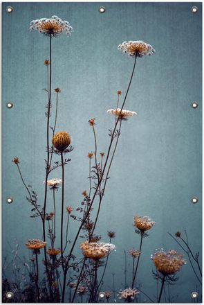 Wallario Outdoor-Poster f&uuml;r Garten oder Balkon Filigrane Wildblumen, Motivbanner Gr&ouml;&szlig;e: ca. 80 x 120 cm, Outdoor-Bild