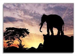 Wallario selbstklebendes Poster - Elefant vor Abendhimmel, Aufkleber in Premiumqualit&auml;t, Klebefolie Gr&ouml;&szlig;e: 70 x 100 cm (Riesenposter)