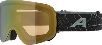 Alpina PENKEN Q-LITE - Verspiegelte, Kontrastverst&auml;rkende & Polarisierte OTG Skibrille Mit 100% UV-Schutz F&uuml;r Erwachsene, willow-green matt, One Size