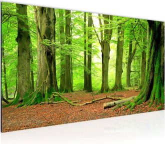 Runa Art Wandbild Wald Landschaft 1 Teilig 100 x 40 cm Modern Bild auf Vlies Leinwand Natur Schlafzimmer Wohnzimmer Grün 610912b