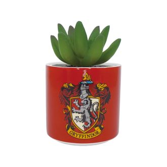 Harry Potter Half Moon Bay Indoor Plant Pot | Ceramic Plant Pot & Indoor Plant Pots | Indoor Pots for Plants | Decorative Plant Pots Indoor | Indoor Planter Gifts 