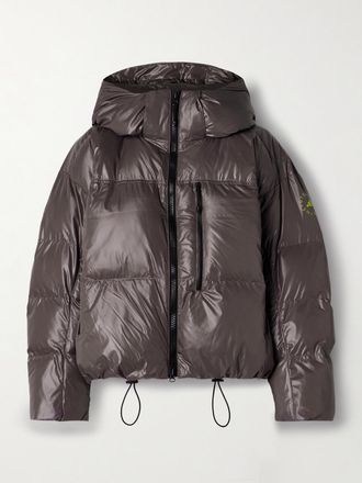 adidas by Stella McCartney Truenature Steppjacke Aus Wattiertem, Recyceltem Shell Mit Kapuze - Grau