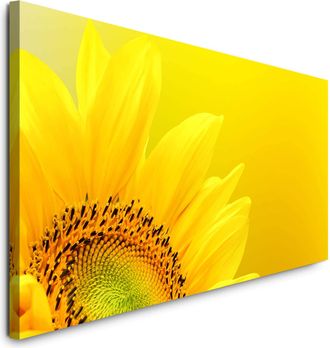 Paul Sinus Art GmbH Sonnenblume Nahaufnahme 120x 50cm Panorama Leinwand Bild XXL Format Wandbilder Wohnzimmer Wohnung Deko Kunstdrucke