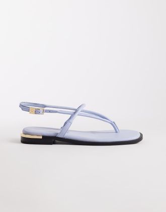 Tommy Hilfiger Zehenstegsandalen in Babyblau