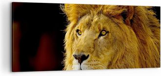 Arttor Wandbilder Dekoration Wohnzimmer L&ouml;we Tiere Tierwelt Panorama Bilder auf Leinwand 120x50cm Leinwandbild Schlafzimmer K&uuml;che Wand Kunstdruck Art Gro&szlig; Wa