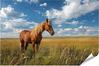 Islandburner XXL Bild Poster Blondes Pferd mit Langer Mähne weidet an sonnigem Tag auf grüner Wiese unter blauem H Premium Bilder Fotodruck