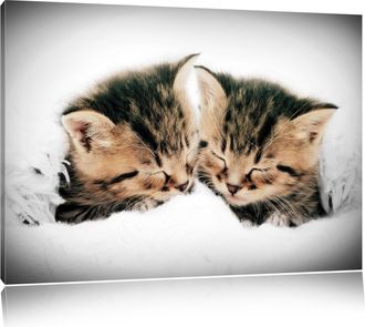 Pixxprint Kleine Süße Kätzchen kuscheln B&W, Größe: 80x60cm, Leinwandbild, fertig gespannt, Wandbild, Dekoration, Kunstdruck, kein Poster