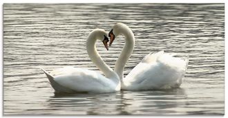 Artland ARTland Wanddeko Glasbilder Wandbild Glas Bild einteilig 100x50 cm Querformat Natur Tiere Vögel Schwäne See Wasser Liebe Frühling Romantik T5RD
