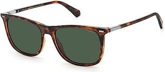 Polaroid Homme Pld 2109/S 086/Uc Havana 55 Sunglasses, 086/Uc Havana, EU