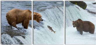Pixxprint B&auml;ren fangen Lachs als XXL Leinwandbild in &Uuml;bergr&ouml;&szlig;e 210x100cm Gesamtma&szlig; 3 teilig, Wandbild, Kunstdruck
