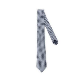 Au Printemps Paris Seidenabgeordnete Krawatten - Blau