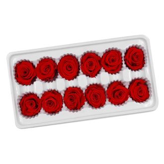 Aboofan 12st&uuml;cke Konservierte Blume Box Nat&uuml;rliche Unsterbliche Blume f&uuml;r Hochzeitsdekoration Party und Geburtstagsgeschenk