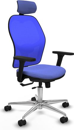 Piqueras y Crespo Ergonomischer Stuhl mit 3D-Armlehnen, h&ouml;henverstellbare Lendenwirbelst&uuml;tze und h&ouml;henverstellbares Kopfteil, Blau / Hellblau
