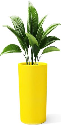 KLORIS Barock Pflanzgefäß hoch, zylindrisch, 70 cm, Polyethylen, Durchmesser 35 cm, Höhe 70 cm, Tiefe Fach 26 cm, hergestellt in Italien