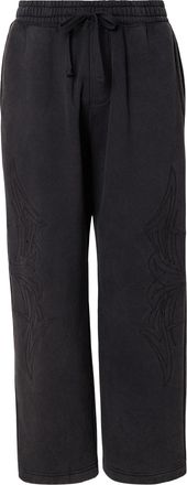 Hollister Hose
