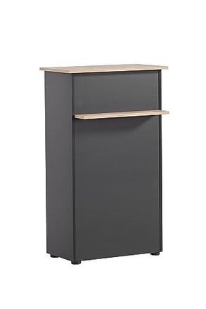 Schildmeyer Empfangstresen 155642, Artisan Eiche Dekor/schwarz, 65,8 x 44 x 110,5 cm