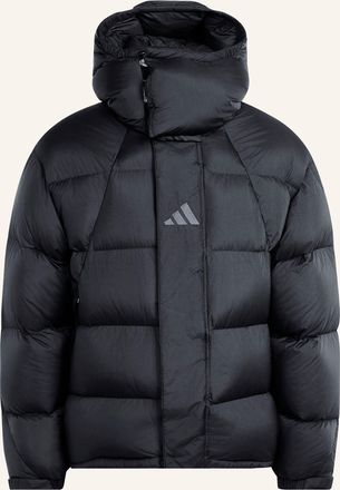 ADIDAS TERREX Adidas Terrex Daunenjacke Terrex Xploric Climawarm schwarz