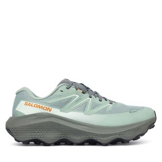 Salomon Laufschuhe Salomon Ultra Flow 2 Gtx GORE-TEX L45473900 Gr&uuml;n