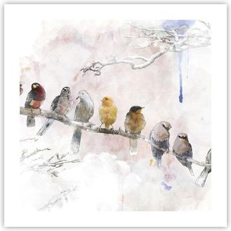 Arttor Poster ohne Rahmen Deko 50x50cm V&ouml;gel Kanarienvogel Zweig Wandposter Art Prints Wanddeko Bild Wand Kunstdruck Wandbilder Dekoration Wohnzimmer Schlafz