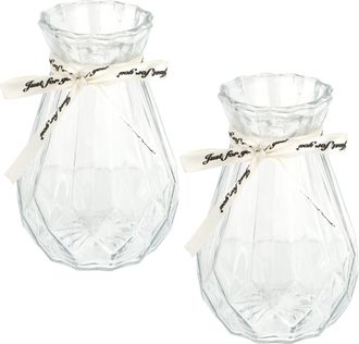 Pretyzoom 2st Handwerkliches Glas F&uuml;r Hydroponik Vase - Bodenvase Eichel n Wand Gro&szlig;e Hyazinthen Mit Farbverlauf Hydrokulturpflanzen Und Glas Wei&szlig;