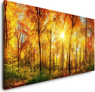 Paul Sinus Art Waldpanorama mit Sonne Tag im Herbst 120x 60cm Panorama Leinwand Bild XXL Format Wandbilder Wohnzimmer Wohnung Deko Kunstdrucke
