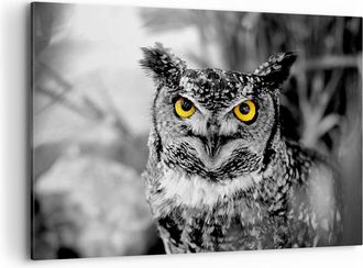 Arttor Bilder auf Leinwand 100x70cm Leinwandbild mit Rahmen Eule Vogel Natur Groß Wanddeko Bild Schlafzimmer Küche Deko Wandbilder Dekoration Wohnzimmer Wall