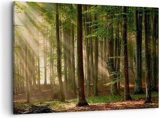 Arttor Wandbilder Dekoration Wohnzimmer Wald Baum Natur Bilder auf Leinwand 120x80cm Leinwandbild mit Rahmen Schlafzimmer K&uuml;che Deko Wand Kunstdruck Art Gro&szlig;