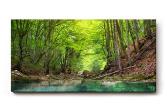 Paul Sinus Art Sinus Art Wandbild 120x60cm Friedlicher Fluss mit glasklarem Wasser inmitten eines gr&uuml;nen Laubwaldes