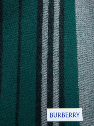 Burberry Icon Stripe Jacquard Scarf - Green