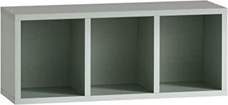 Schildmeyer Bjarne Regal 153156, Pistazie, 60,2,3 x 21,5 x 24,7 cm