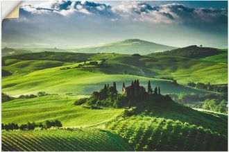 Artland ARTland Wanddeko Wandtattoo selbstklebende Vinylfolie 60x40 cm Landschaften Felder Fotografie Grün Sonnenaufgang über einer Olivenfarm S7NL