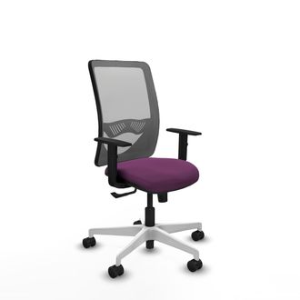 Piqueras y Crespo Zulema Stuhl mit verstellbarer Lendenwirbelst&uuml;tze mit 1D-Armlehnen. Ausgestattet mit 3 Positionen und Schneidschaum. Mit Rollen von 65 mm Nylon. Grau/