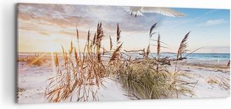 Arttor Wandbilder Dekoration Wohnzimmer Möwe Meer Küste Panorama Bilder auf Leinwand 120x50cm Leinwandbild mit Rahmen Schlafzimmer Küche Wand Kunstdruck Art 