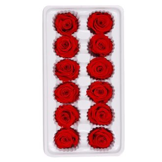 BESPORTBLE Konservierte Rote Rose 3-4cm Unsterbliche Echte Blume im Geschenkbox Satz Nie Verwelkt Hochzeits und Valentinstagsdeko Langlebige Wohn und Festtagsdek