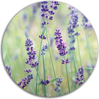 Wallario rundes Outdoor-Poster für Garten oder Balkon Lila Blumenfreude - Violette Pflanzen auf der Wiese, Motivbanner 60 cm Durchmesser