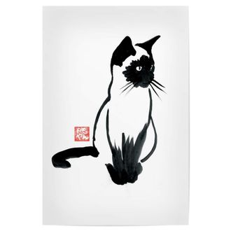 artboxONE Poster 30x20 cm Tiere Siamese cat hochwertiger Design Kunstdruck - Bild cat Chat Japan