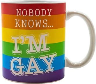 Fizz Creations Nobody Knows Im Gay Heat Changing Mug Novelty Mug